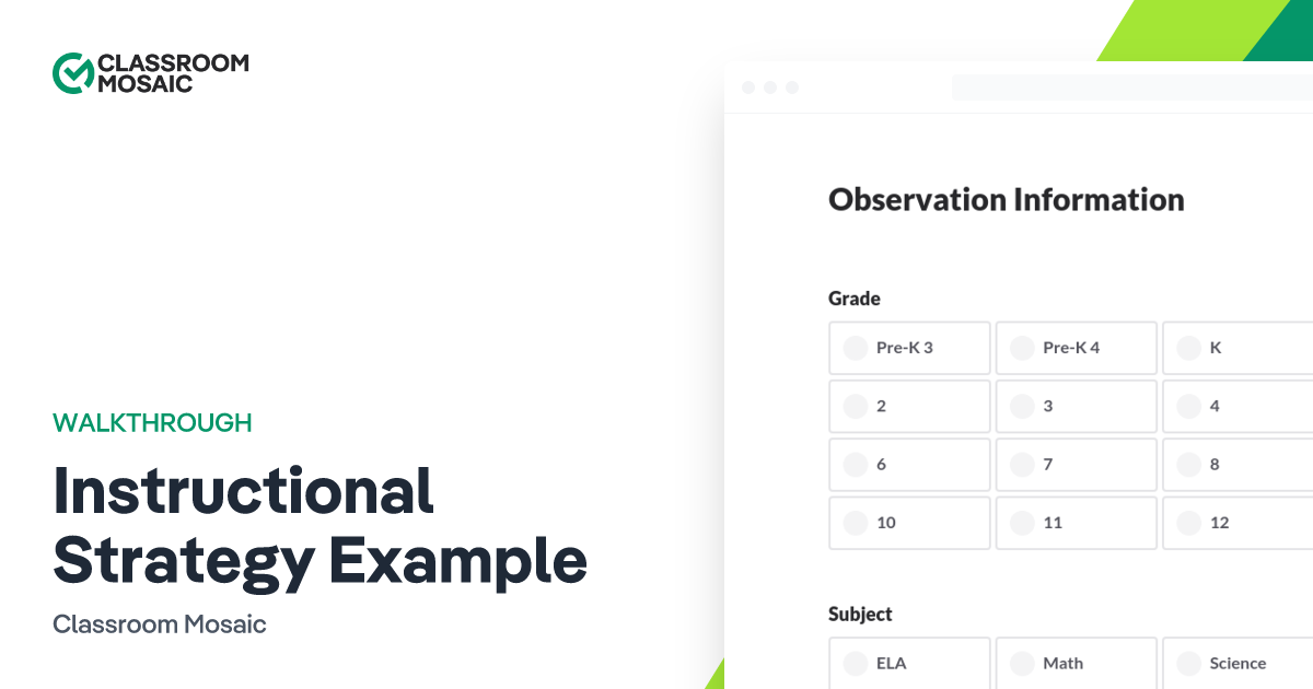 Instructional Strategy Example | Teacher Observation Form